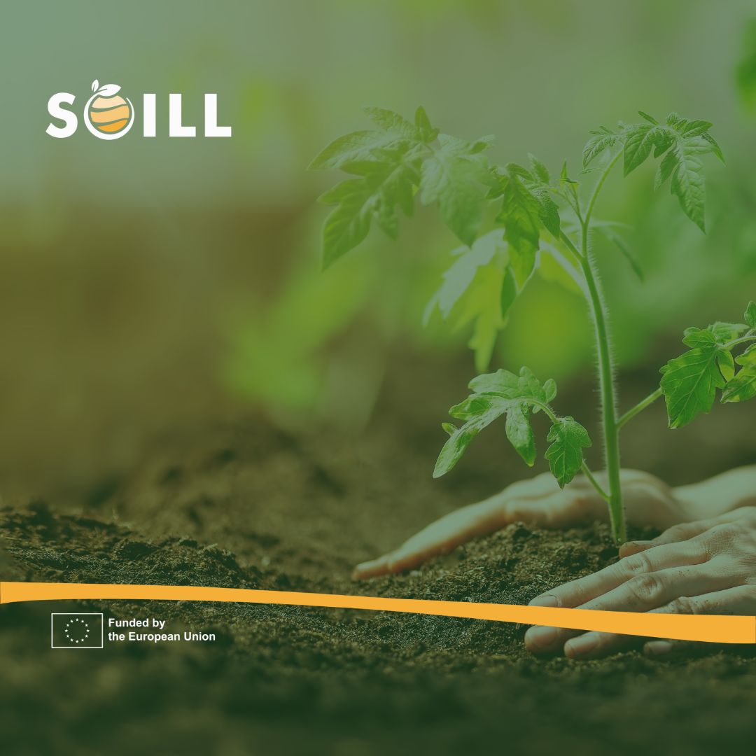 SOILL | Support Structure for Soil Health Living Labs and Lighthouses